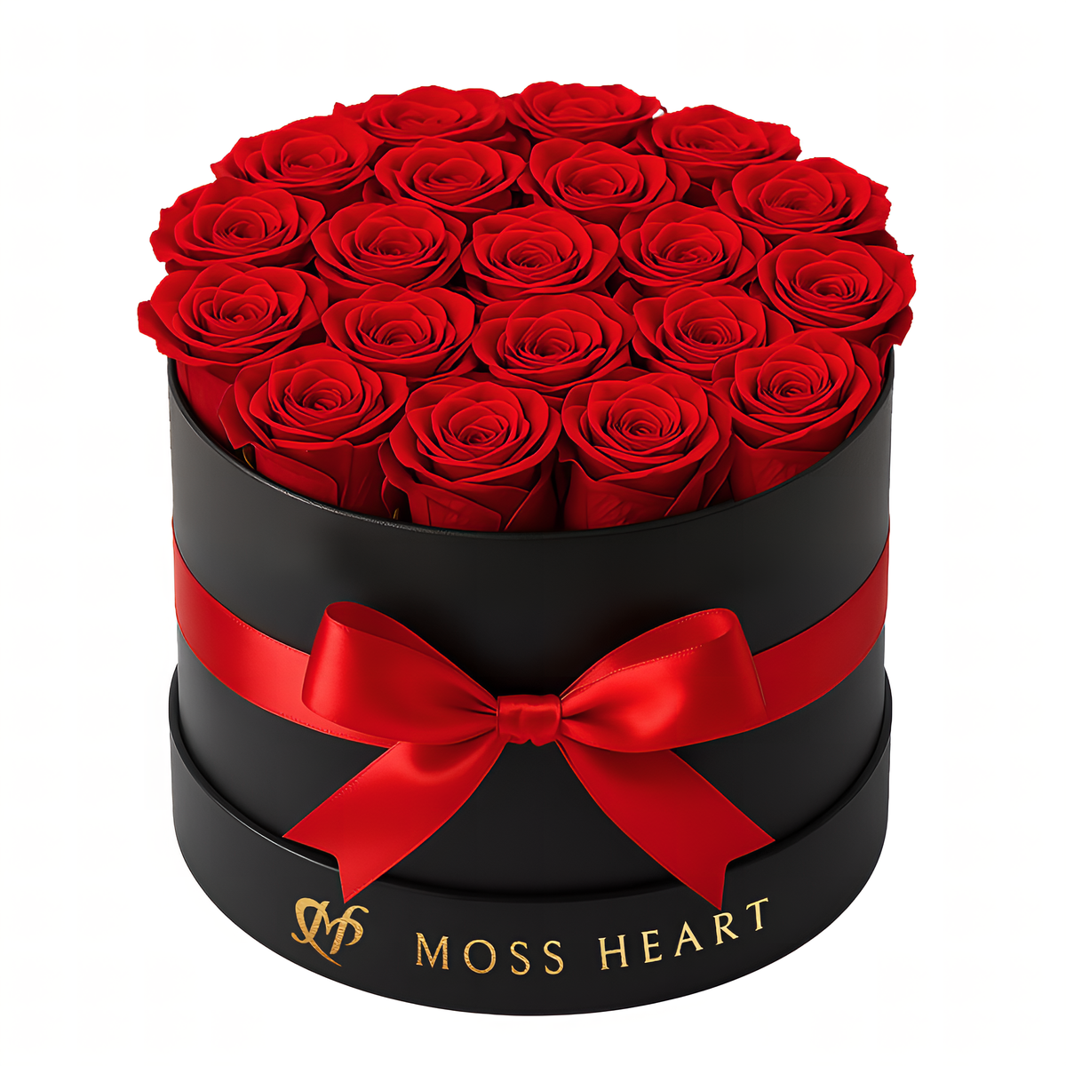20 Red Preserved Forever Roses in Round Box – Moss Heart